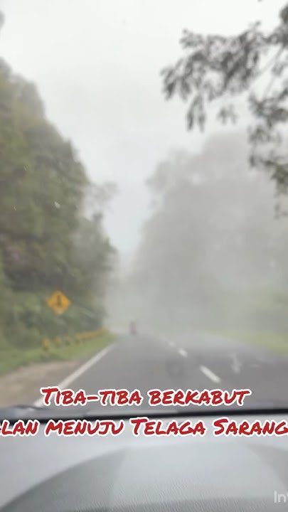 Tiba-tiba berkabut jalan menuju Telaga Sarangan #shorts #travel #holidaytrip - YouTube