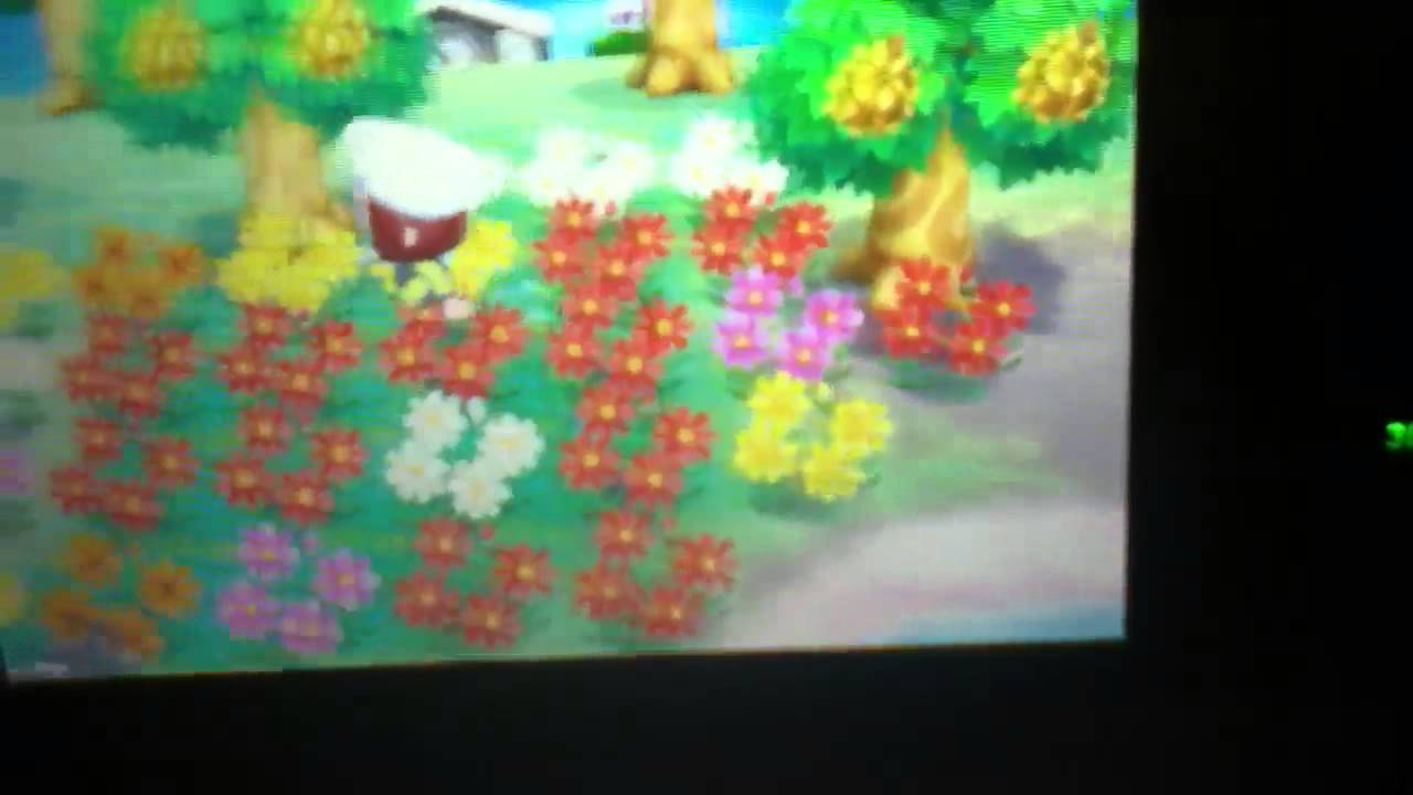 Animal Crossing: New Leaf - FLOWERS SPREAD LIKE WEEDS - YouTube