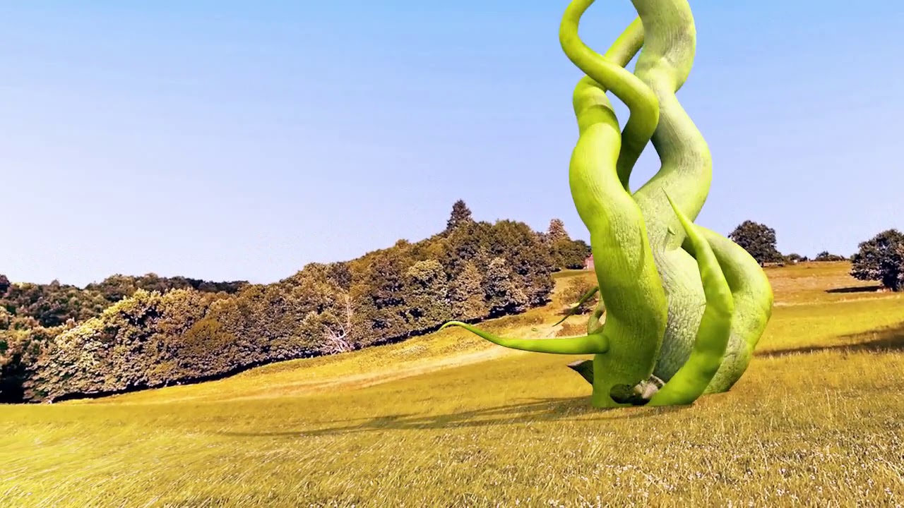 Growing Tree cinema 4d - YouTube