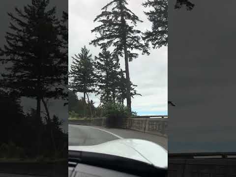 Chuckanut Drive, Washington State 🎶 - YouTube