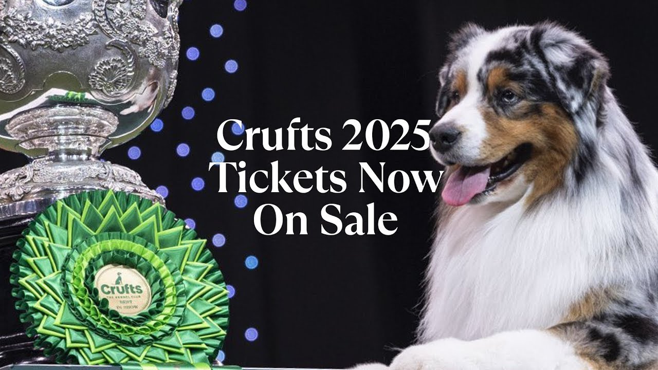 Tickets for Crufts 2025 are on sale NOW! 🐶 - YouTube