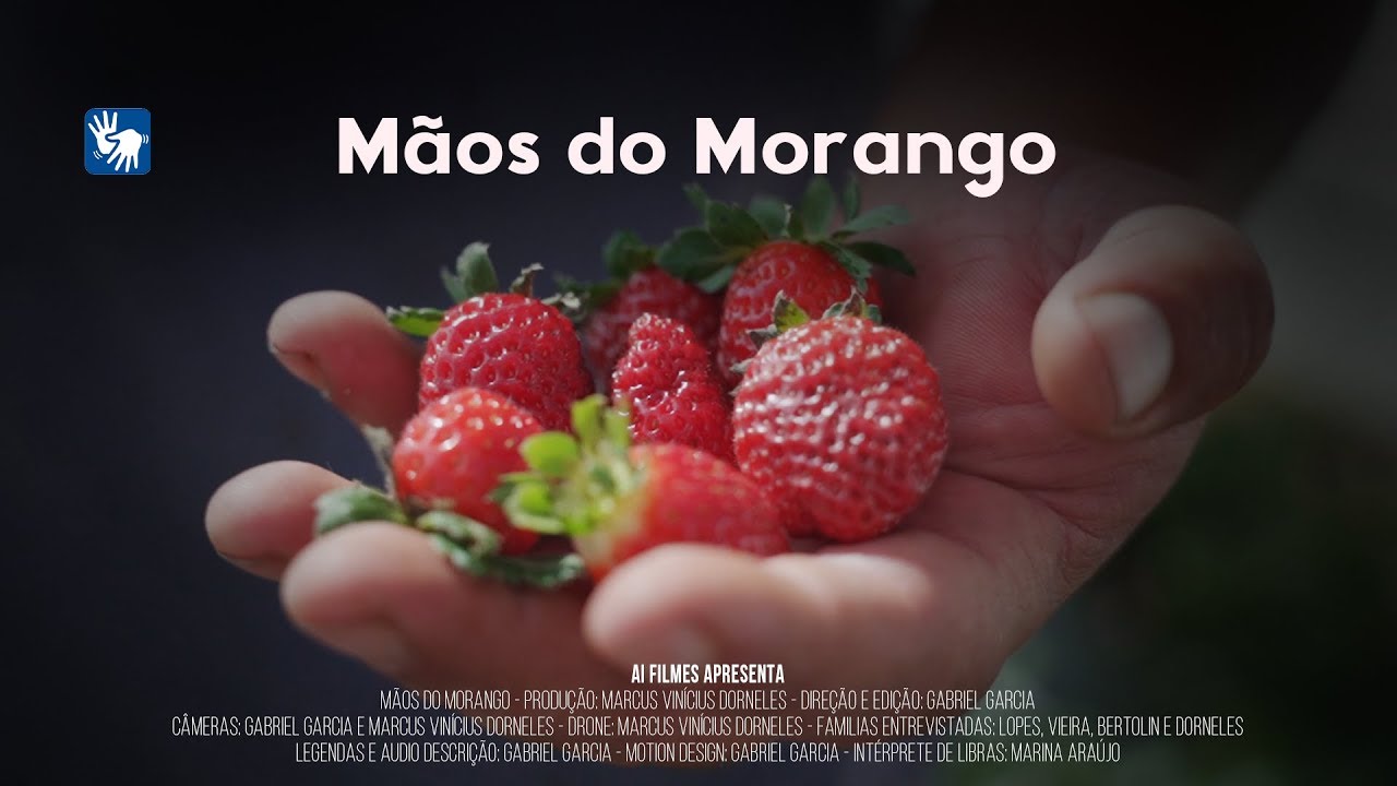 Mãos do Morango - Documentário - Libras - YouTube