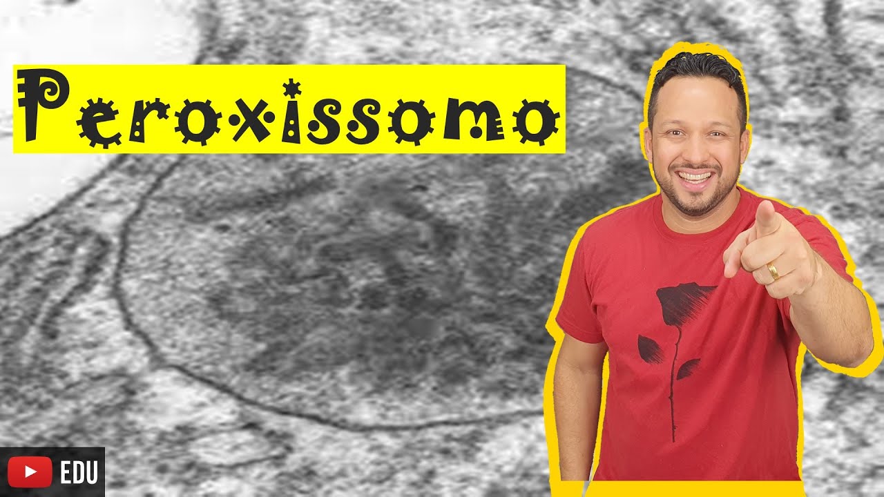 Peroxissomo - Definição, Características e Funções - Organelas ...