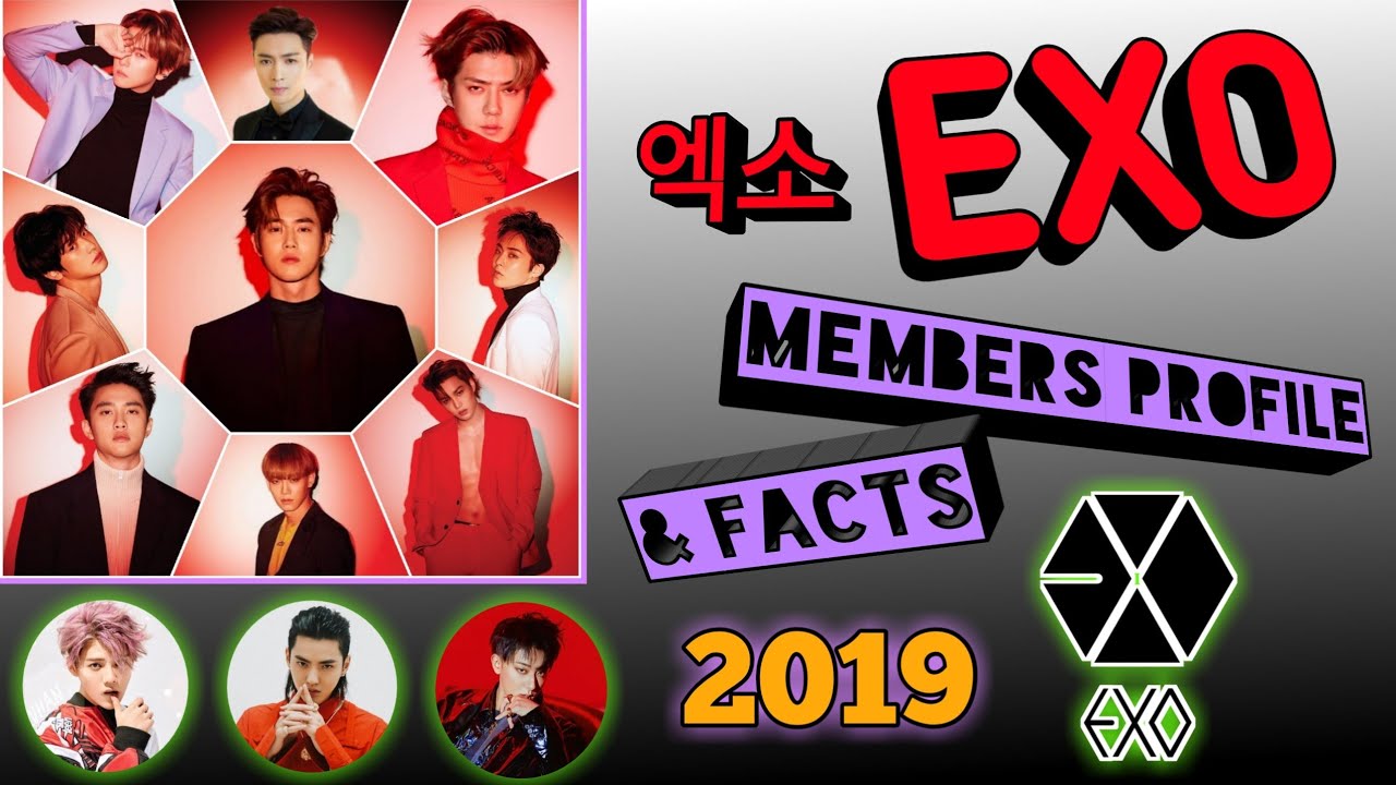 EXO 엑소 MEMBERS PROFILE & FACTS 2019 - YouTube