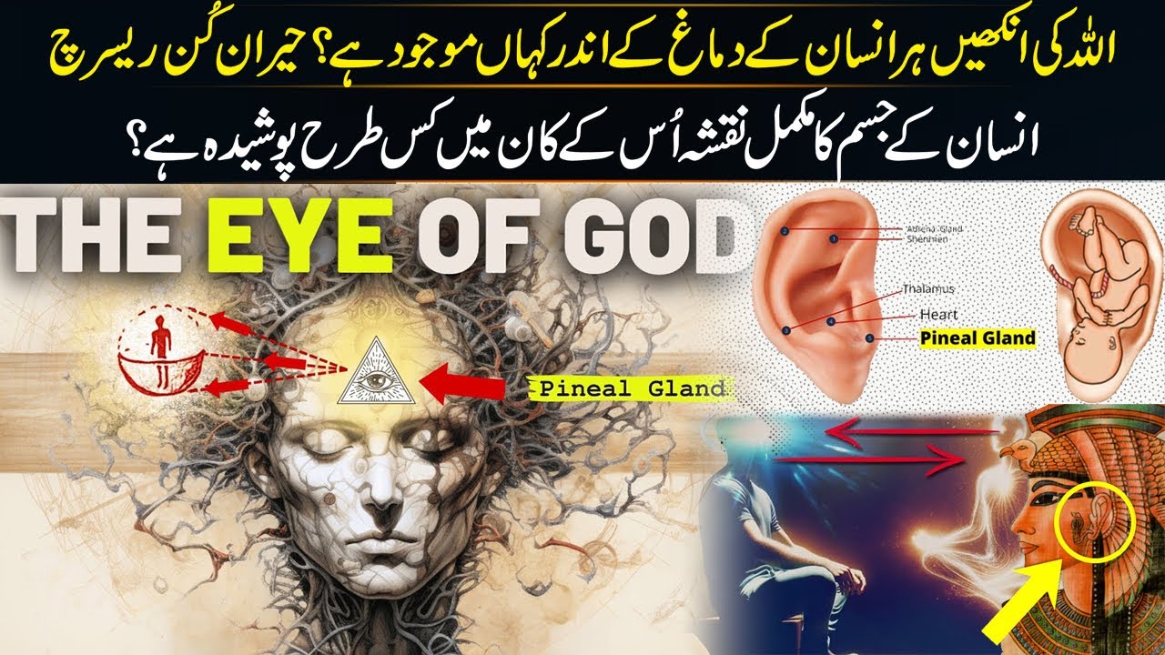 Eye of ALLAH Hidden Inside Your Brain I How to Activate it? - YouTube
