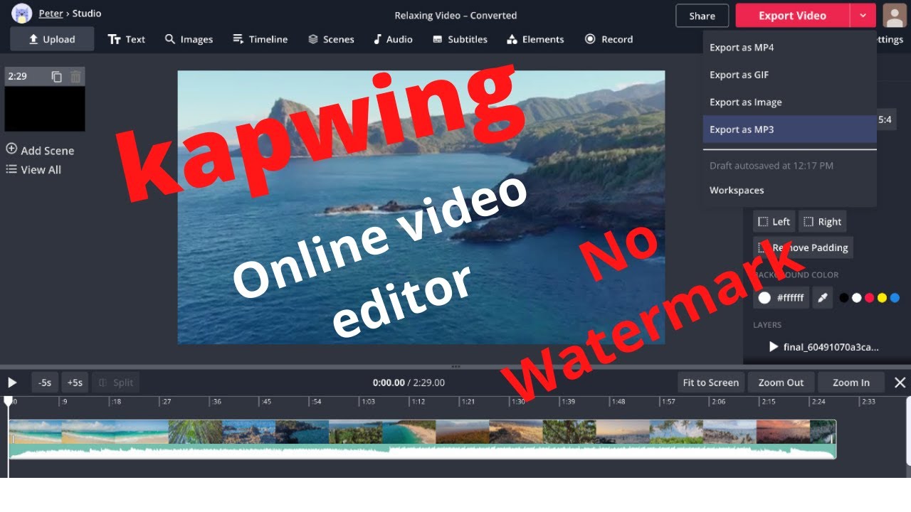Online Video Editing Website Free No Watermark | kapwing - YouTube