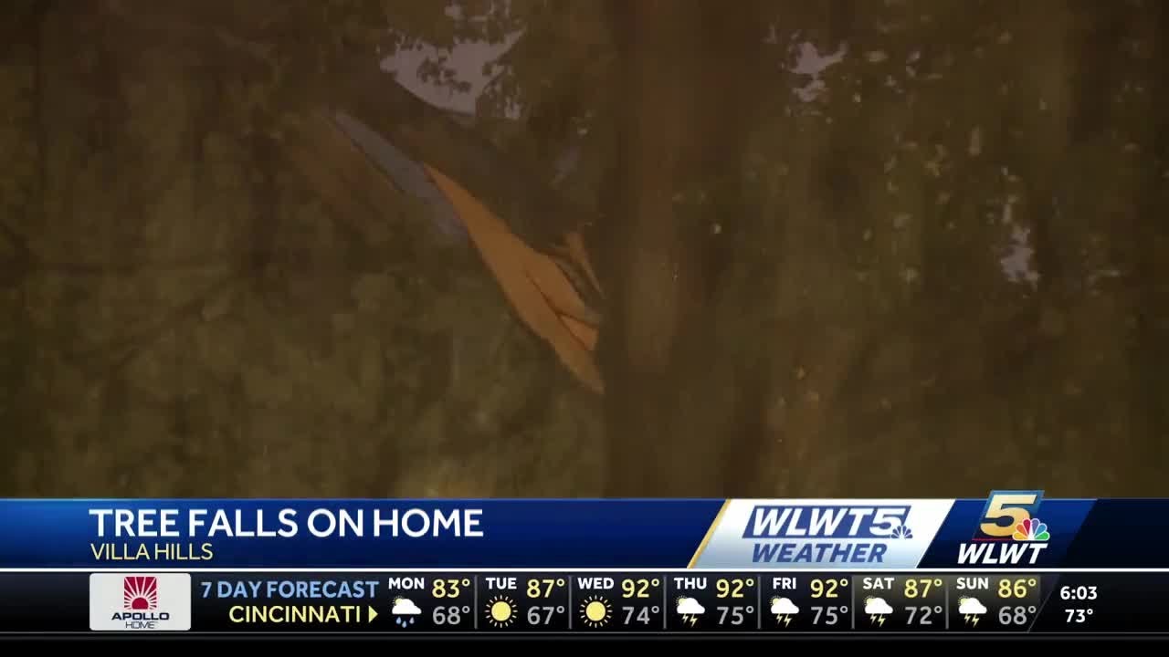 Tree falls on home, powerlines downed in northern Kentucky following ...