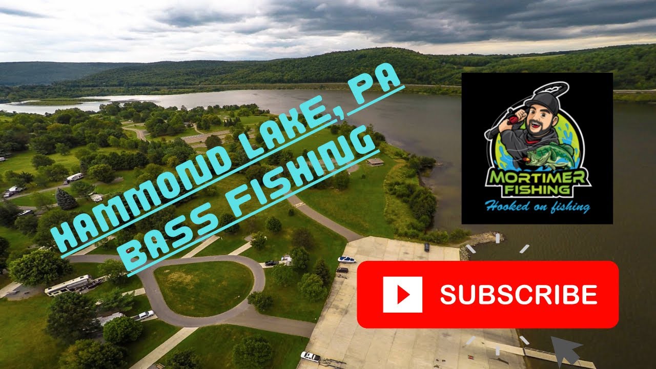 Bass Fishing At Hammond Lake In Tioga County, PA - YouTube