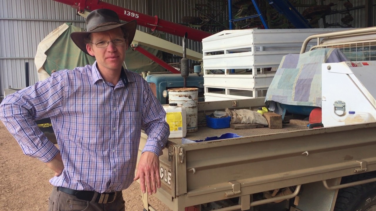 Sea Lake grower Nic Harrison - YouTube
