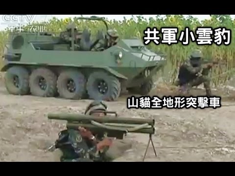 共軍小雲豹 解放軍 特種兵全地形突擊車 CHINESE PLA ARMY ARGO ATV - YouTube