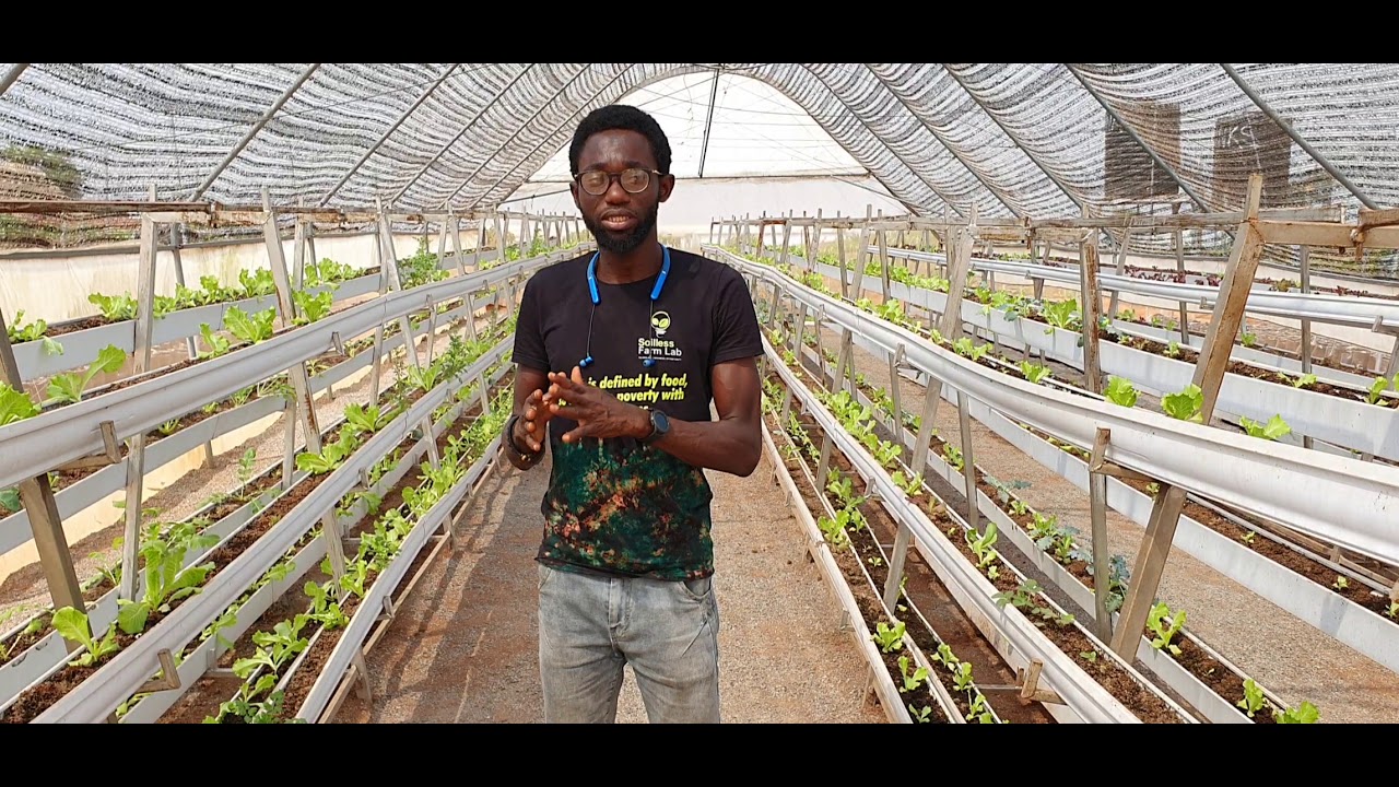 Basic reasons for soilless farming - YouTube