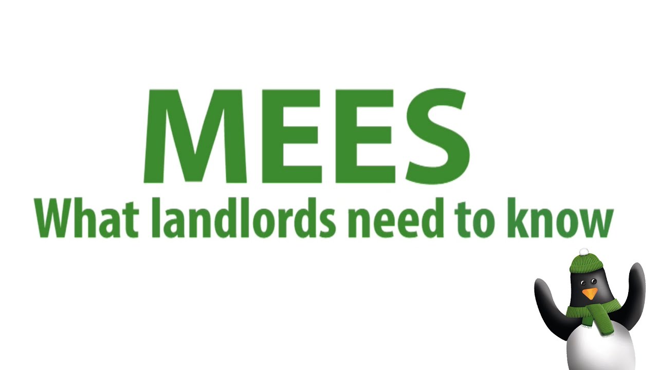 MEES - What landlords need to know - YouTube
