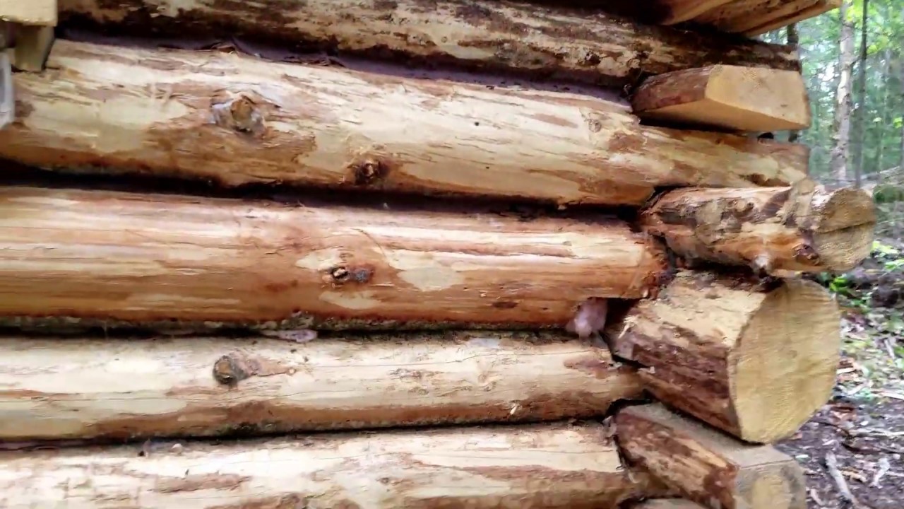 Canadian Off-Grid Log Cabin: No More Bark On The Logs. - YouTube