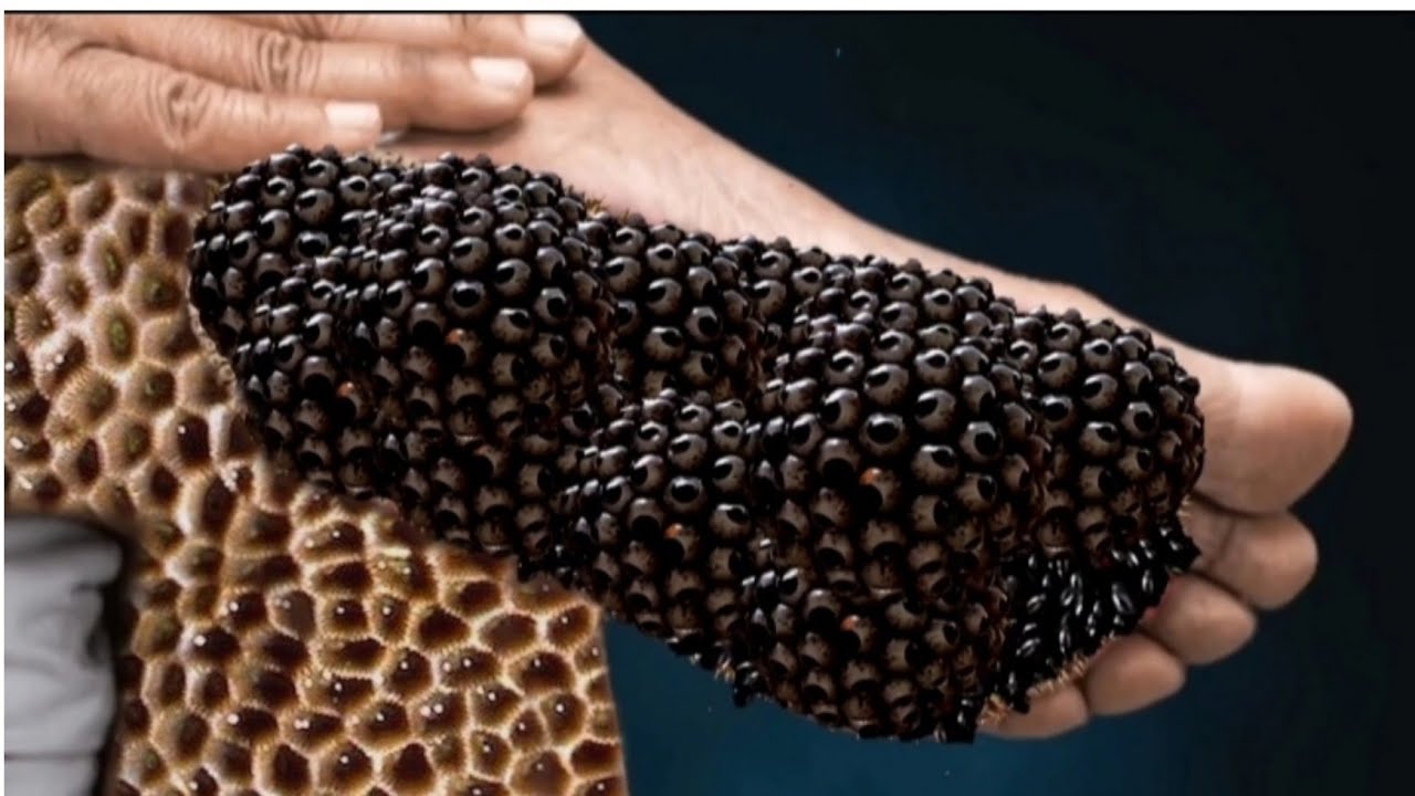 ASMR Remove Trypophobia Treatment | ASMR Collection Animation Video ...