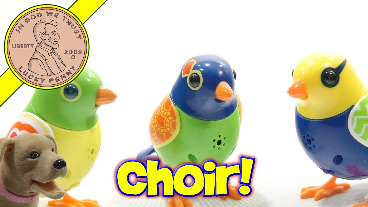 Twinkle's Trio DigiBirds Singing Birds, They Sing In A Choir! - YouTube