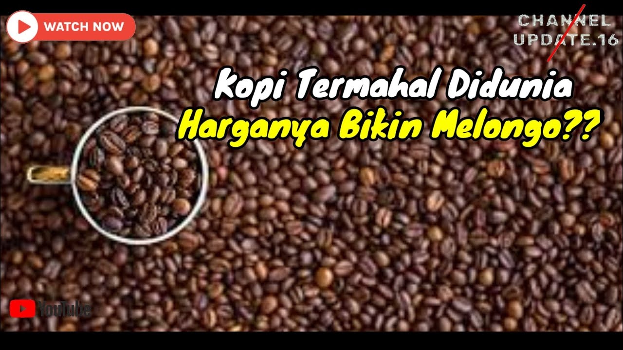Inilah Kopi Paling Mahal di Dunia, Harganya Bikin Pusing! - YouTube