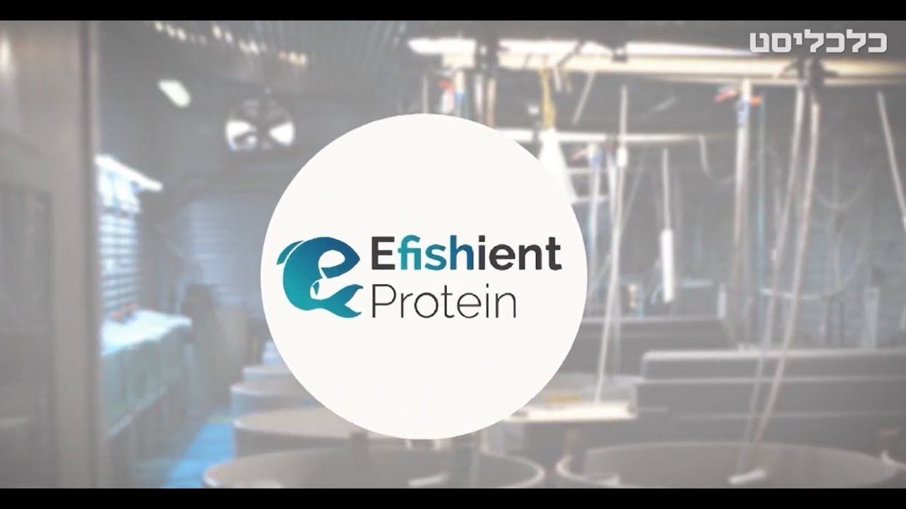 גמר פודטק חברת E FISHient Protein - YouTube
