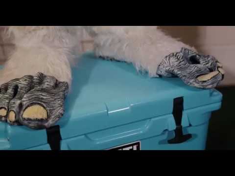 THE ANATOMY OF A YETI: WHAT SCIENCE WON'T TELL YOU - YouTube