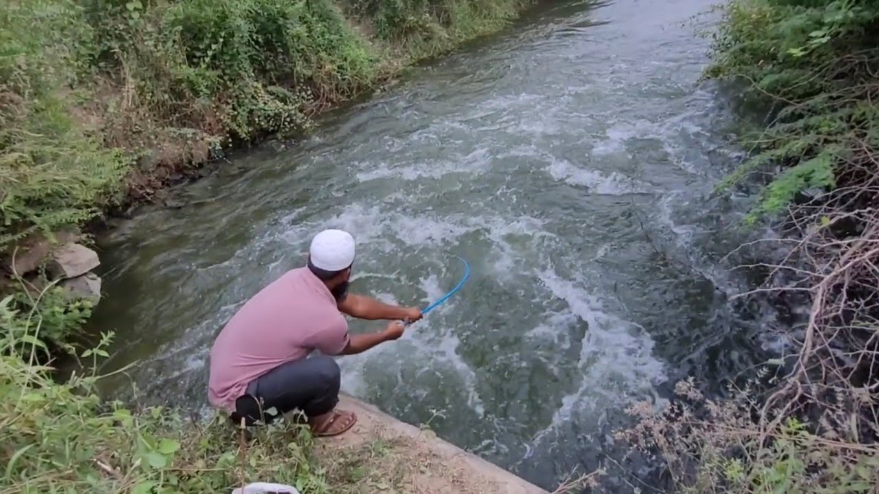 Baam Fishing|How To Catching The Baam Fishes In Flowing Water| Indian ...