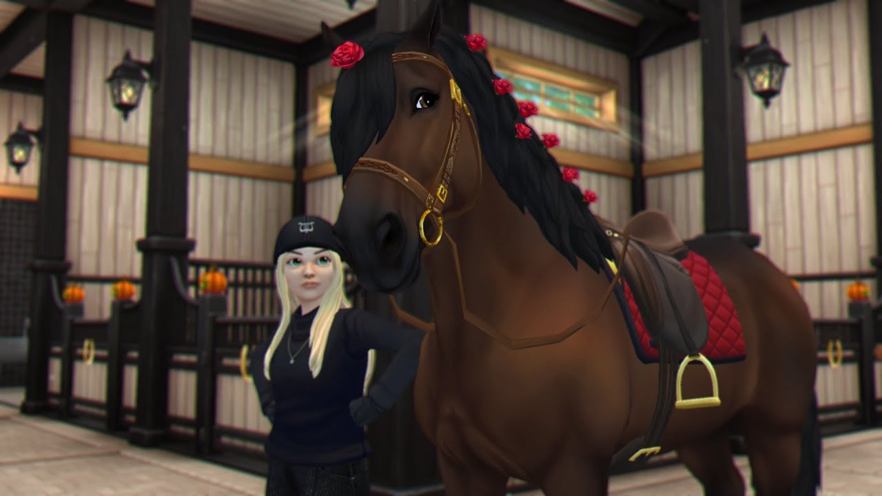 NORIKER PFERDEKAUF 🐴 Wie finde ich sie? Die neuen Noriker Gen.3 SSO ...