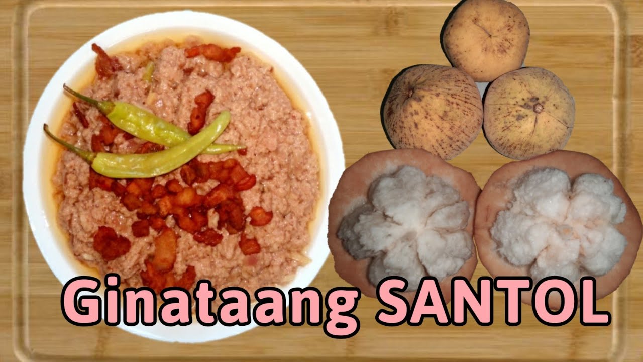 HOW TO COOK GINATAANG SANTOL II SINANTOL II SINANTOLAN II EASY RECIPE ...