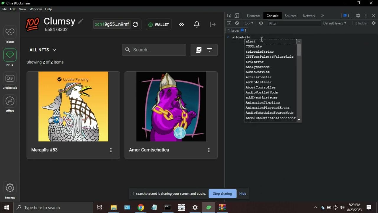 Chia XSS Vuln By ClumsyLulz - YouTube