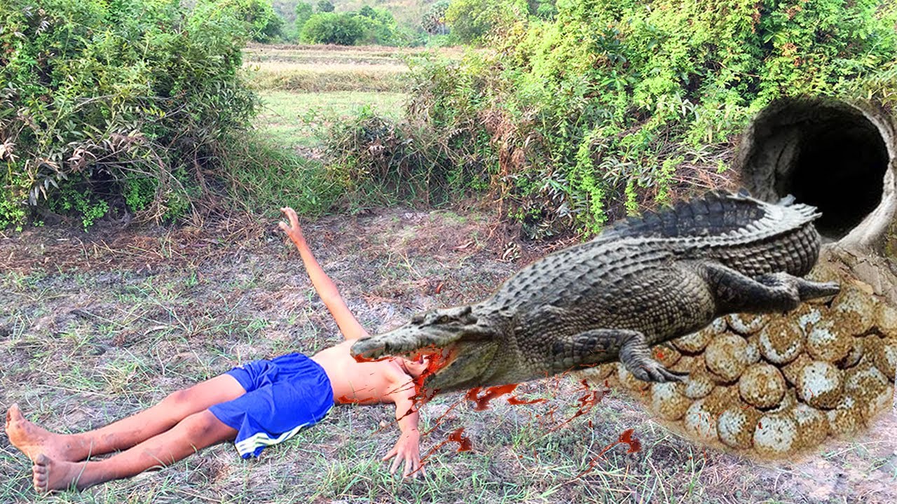 Easy Crocodile Trap - Boy Makes Crocodile Trap Using Buckets ...