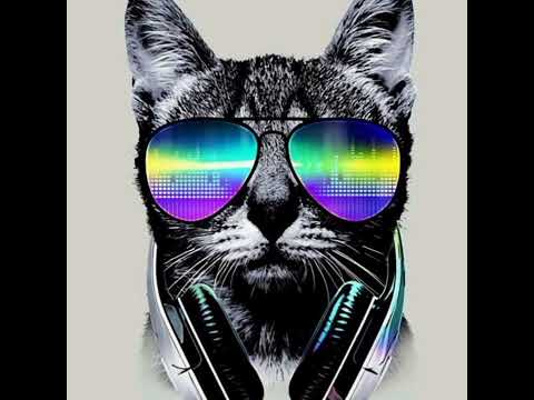 dj Siva congo vizag 8897597729..9703554385.