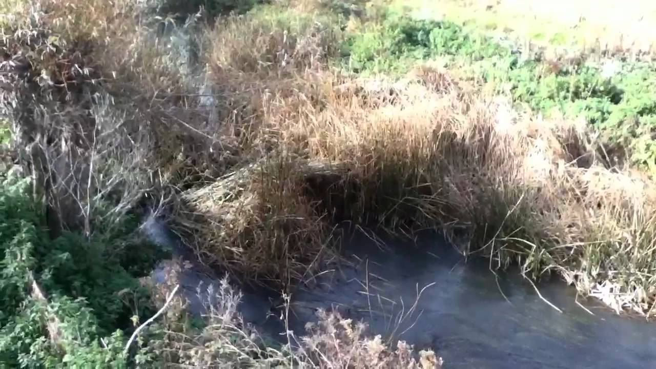 The bridges of Evenlode Valley - YouTube