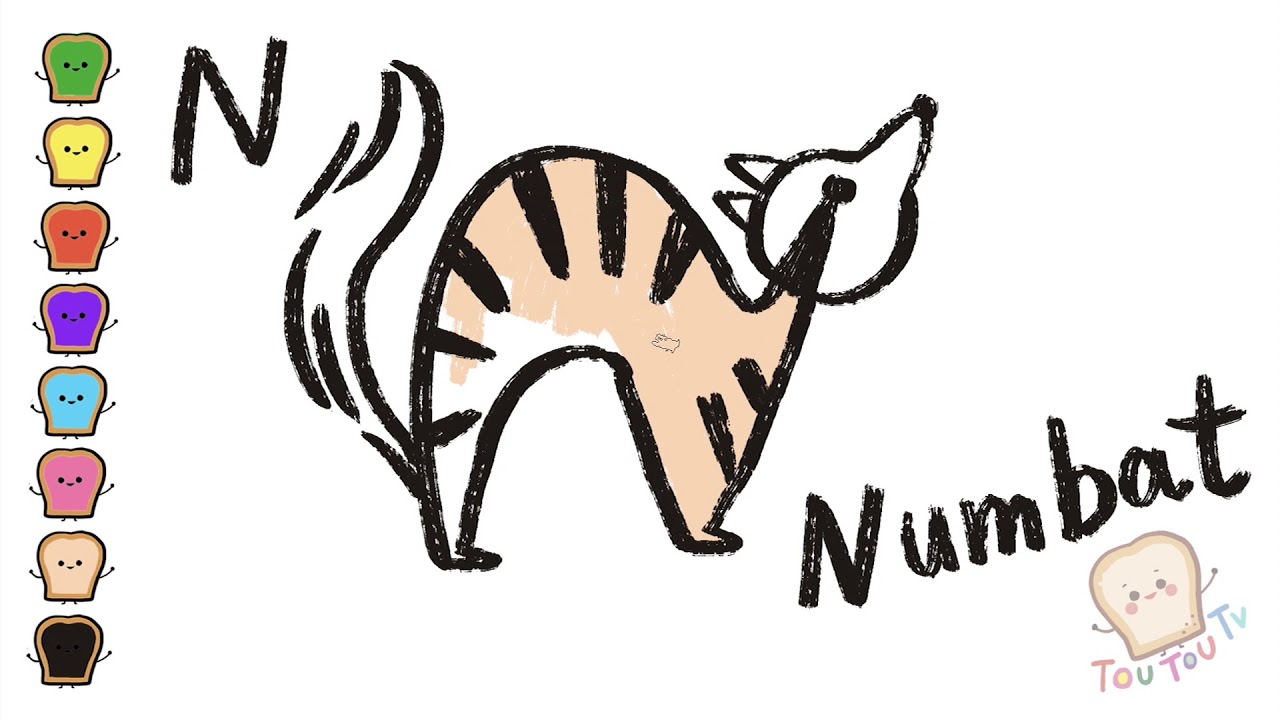 How To Draw A Numbat After Writing The Letter N - step by step tutorial for kids - YouTube