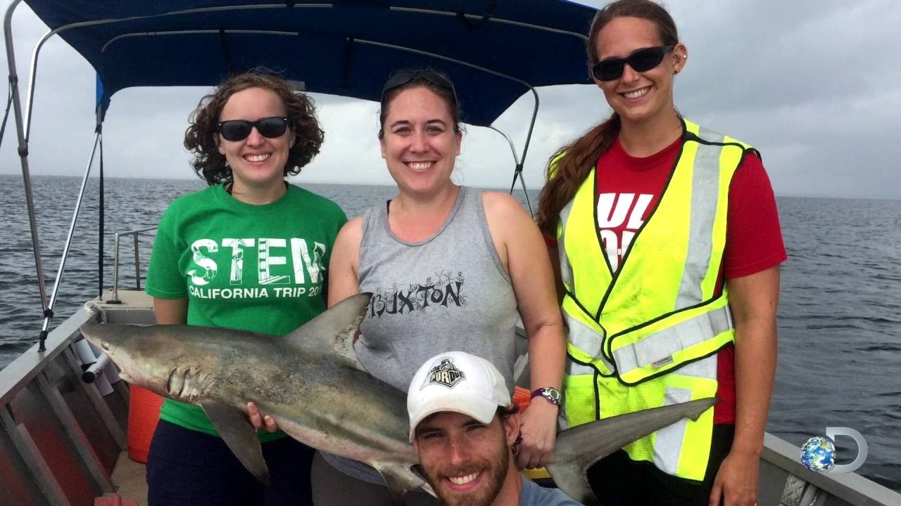 Women at the Forefront of Shark Science - YouTube