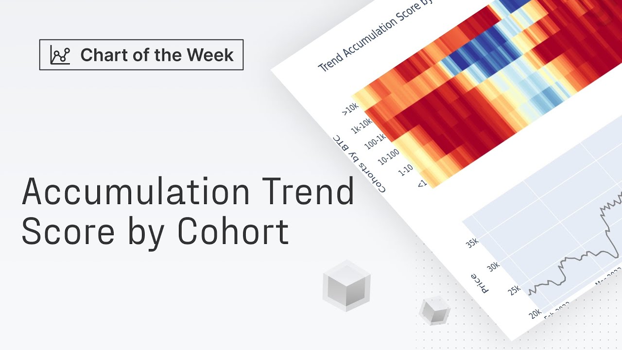 Chart of the Week: Accumulation Trend Score by Cohort - YouTube