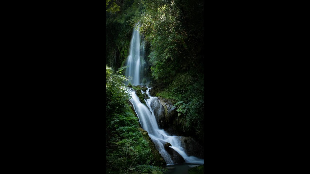 Rain In The Pine Forrest | Sleep & Meditation | Fade To Black In 10 ...