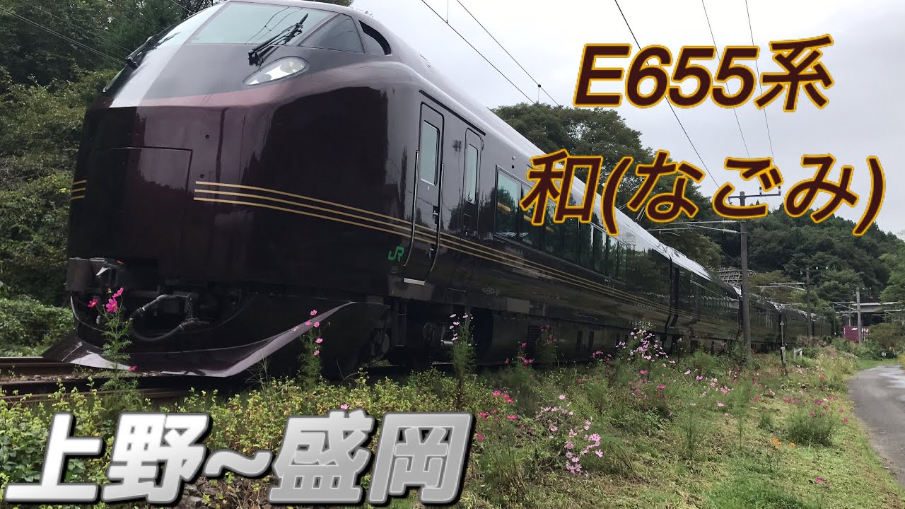 E655系 和(なごみ)上野〜盛岡間団体臨時列車。 - YouTube