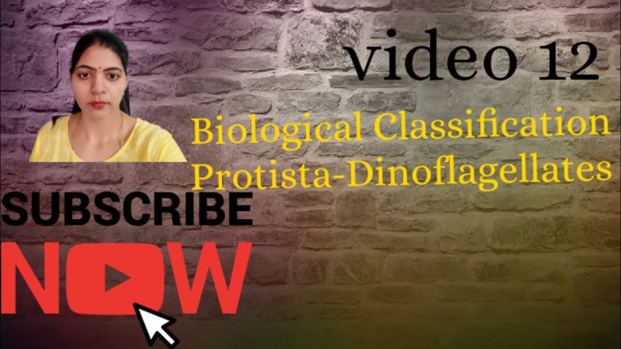 Biological Classification l protista-Dinoflagellates l NCERT NEET ...