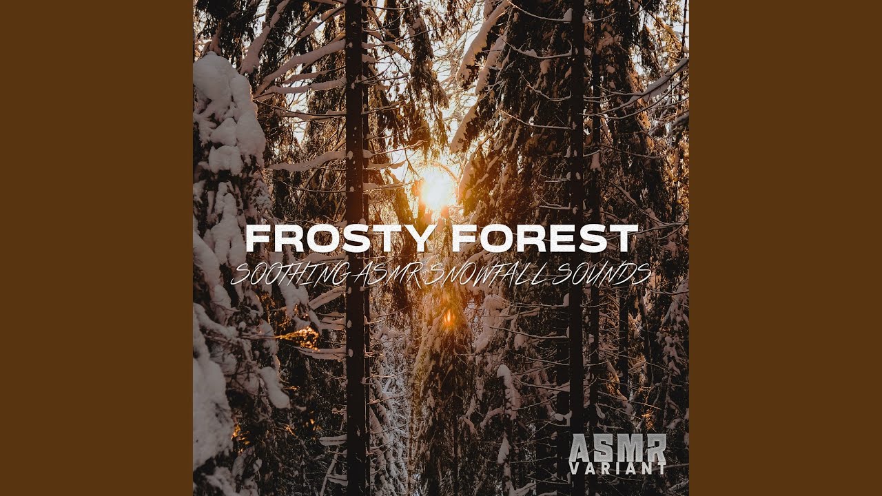 ASMR Snowy Woods Sounds: Relaxing Sounds of Winter Nature - YouTube