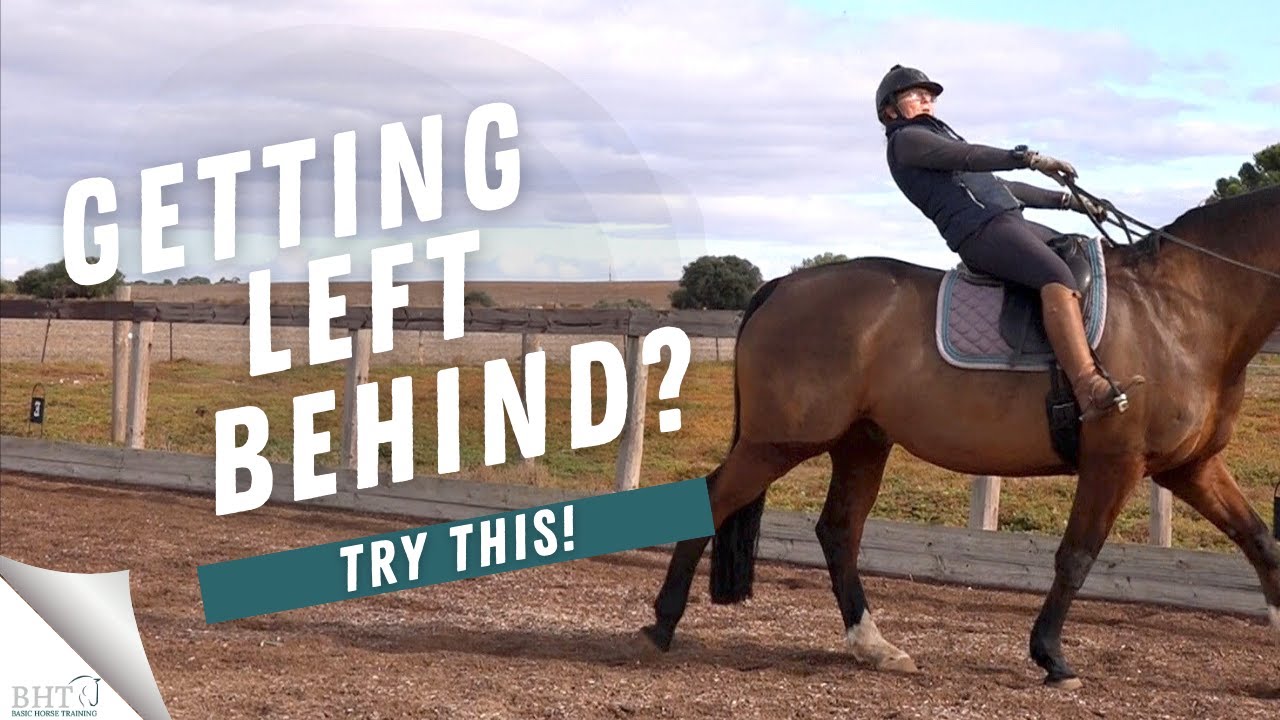 Horse Riding Lesson - Quick Tips To Improve Your Transitions - YouTube