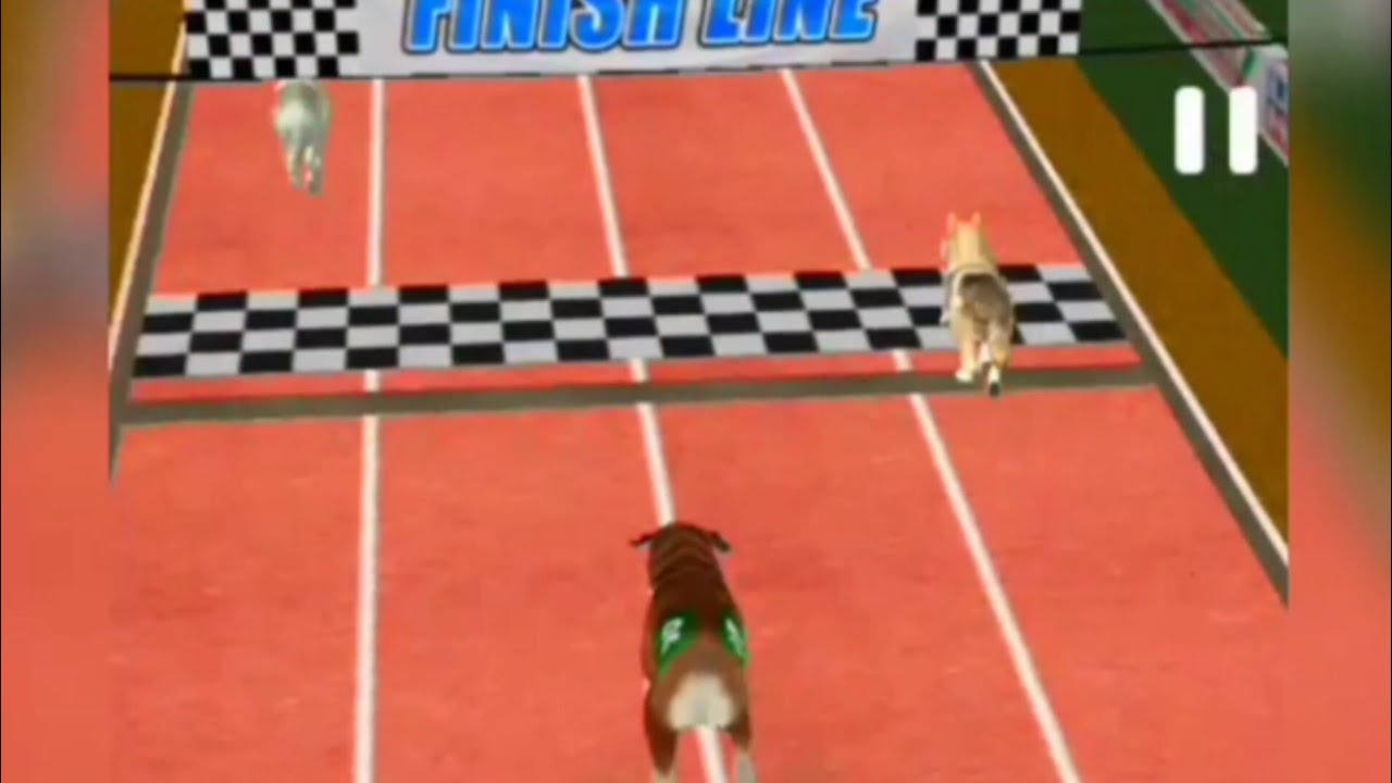 DOG RACING//GAME - YouTube