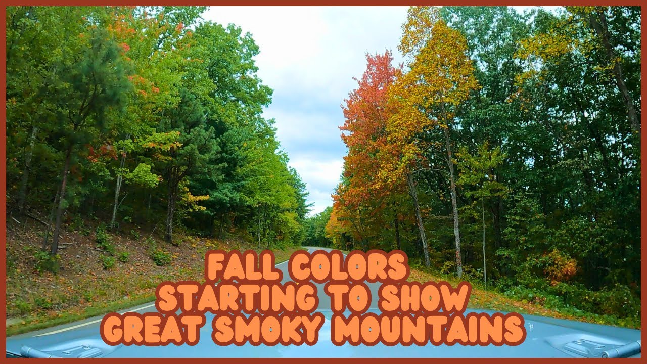 Amazing Fall Colors Starting To Show and Flint Gap Fire | Great Smoky ...
