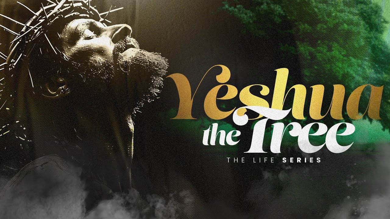 THE LIFE SERIES: YESHUA THE TREE - B DWAYNE HARDIN - NOVEMBER 16, 2024 ...
