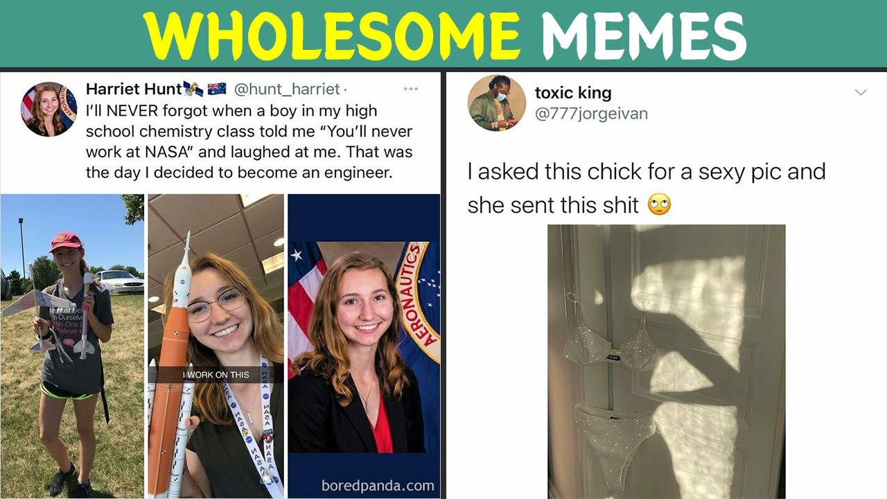 "The King of Wholesome Memes": 50 of the Best Memes Posted by the ...