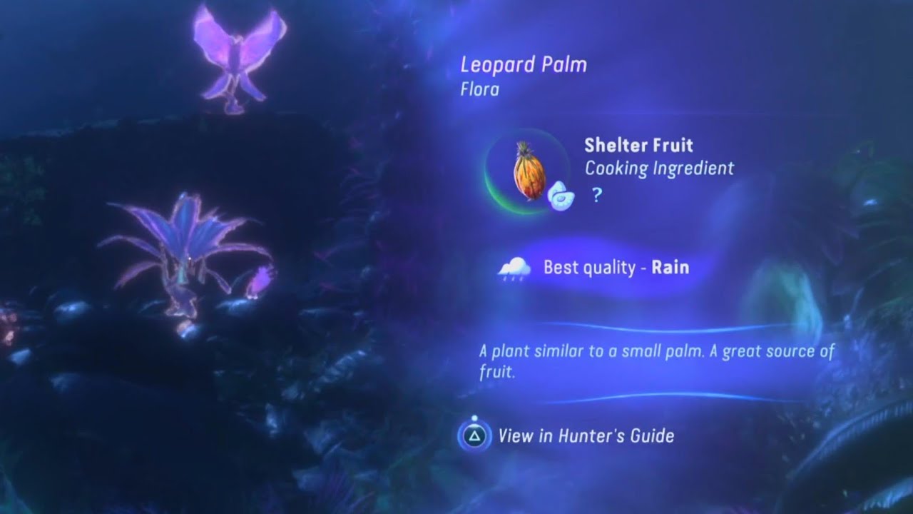 How to get Shelter Fruit | Hometree - Clan Contribution | Avatar ...