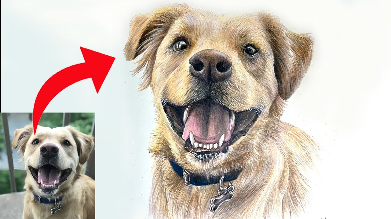 How to Draw REALISTIC FUR in 3 Steps - YouTube