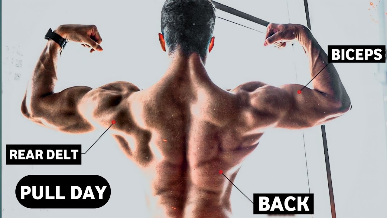 My PULL day Workout ( 2023 ): Back, Rear Delts & Biceps | Push/Pull ...