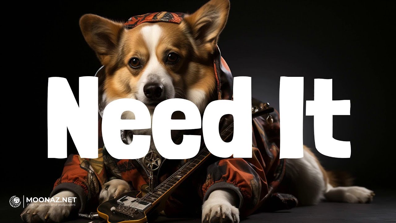 Migos - Need It | LYRICS | Luv 4 My Block - Sha EK - YouTube