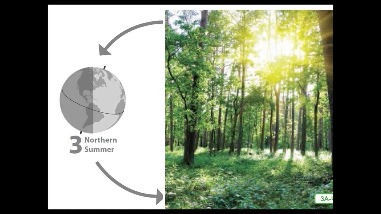 Domain 6 Lesson 3 Four Seasons in One Year - YouTube