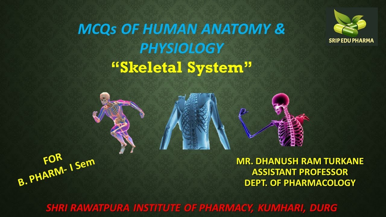 MCQs OF HUMAN ANATOMY PHYSIOLOGY Of Skeletal System YouTube mcqs-of-human-anatomy-physiology-of-skeletal-system-youtube