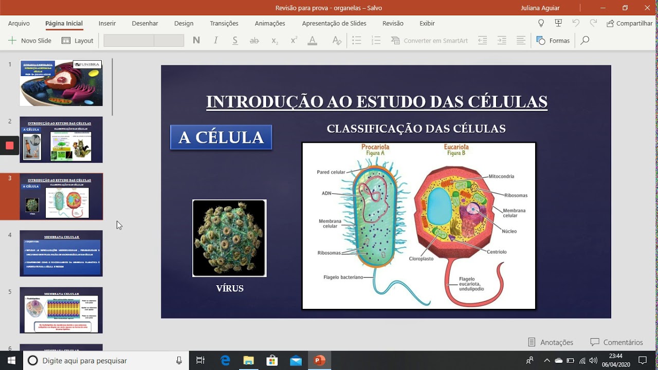 Aula de Citologia - Organelas celulares - YouTube