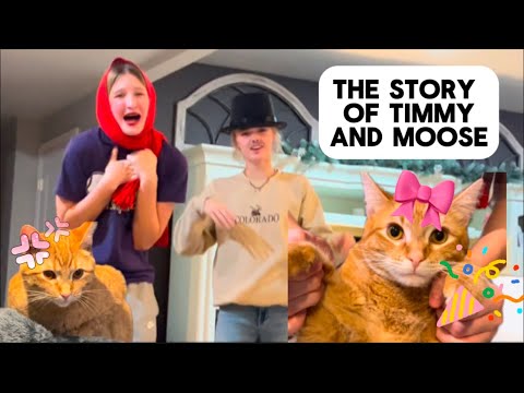 The story of Timmy and Moose (a dhar man impression inspired video) # ...