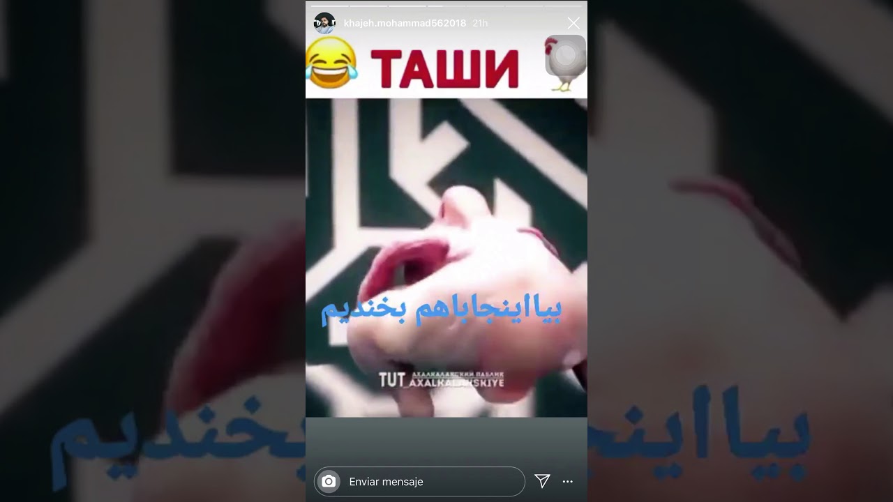 El pollo nalgon 😂 - YouTube